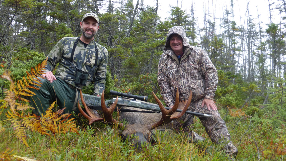 Moose Hunts - Dashwood Outfitting